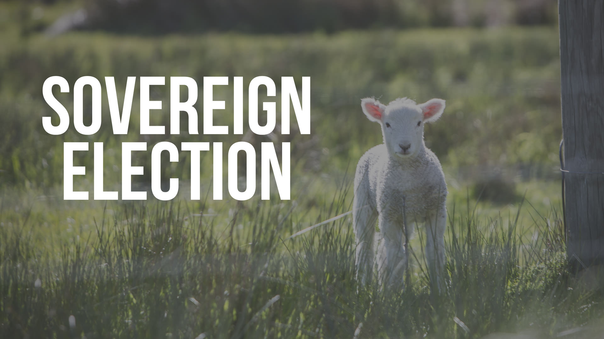 Sermon Visual – Sovereign Election_mini | Hickman Community Church